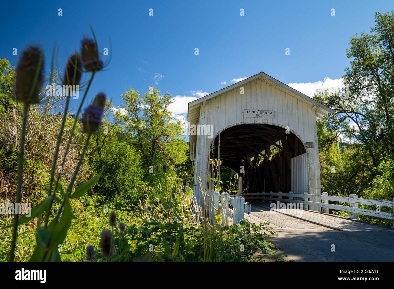The Harris covered bridge in Philomath, Oregon, built in 1929 Stock ...