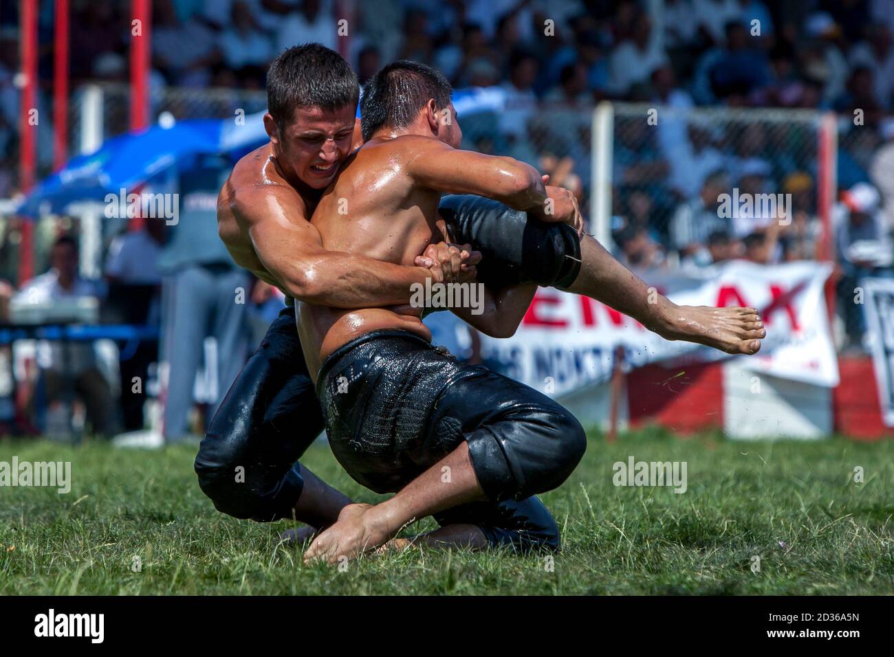 Wrestlers engaged in a fierce battle at the Elmali Turkish Oil ...