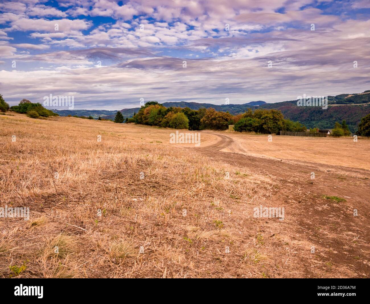 Dry meadow with a dusty path under a blue sky with beautiful fluffy clouds. Water scarcity in ...