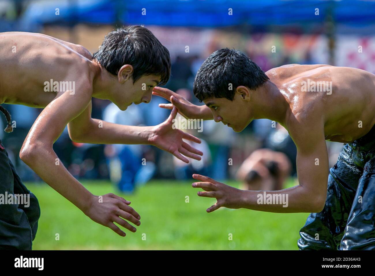 Young wrestlers concentrate during competition at the Kagithane Turkish ...