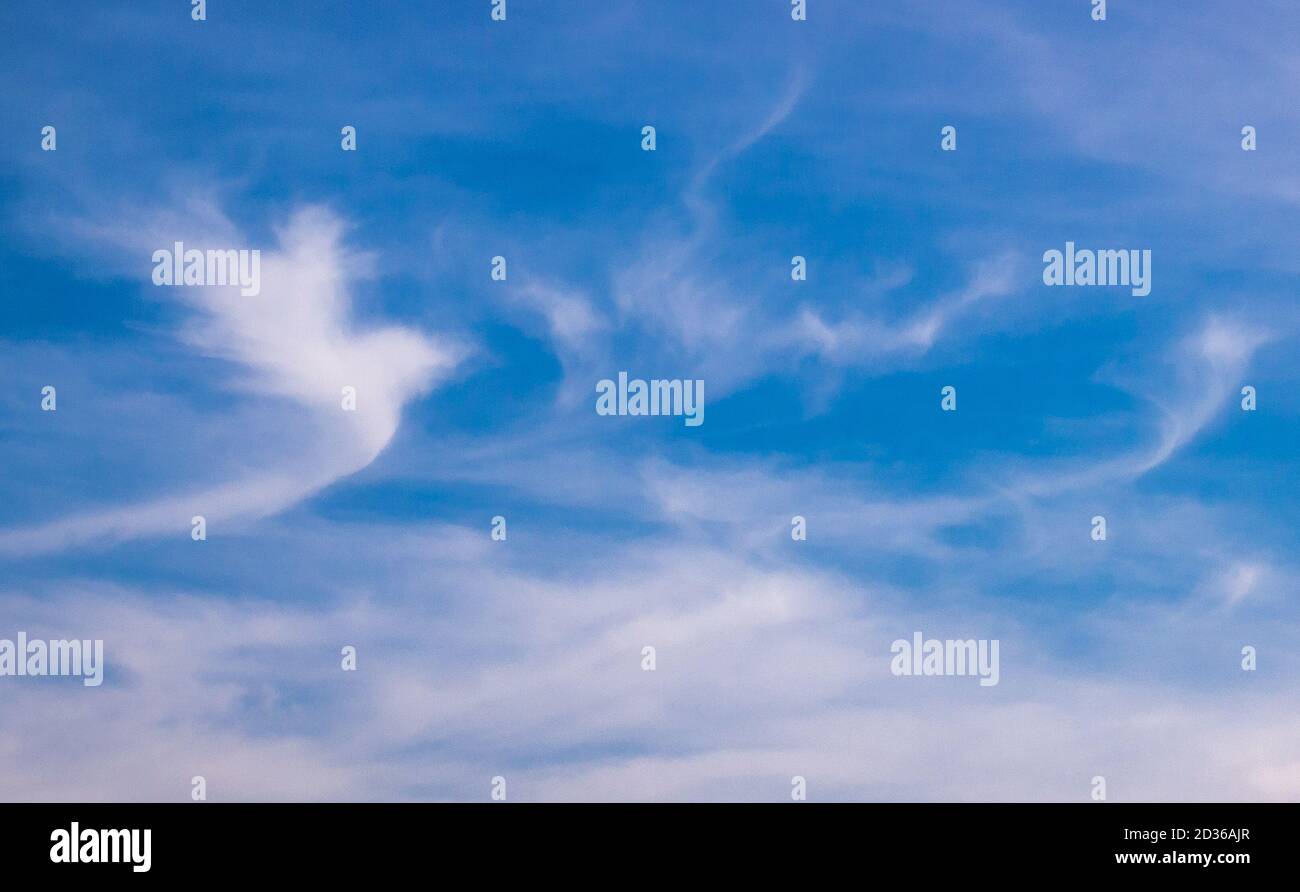 Pentecostal dove hi-res stock photography and images - Alamy