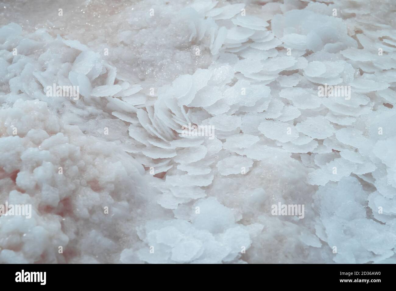 Detail of salt flakes Stock Photo - Alamy