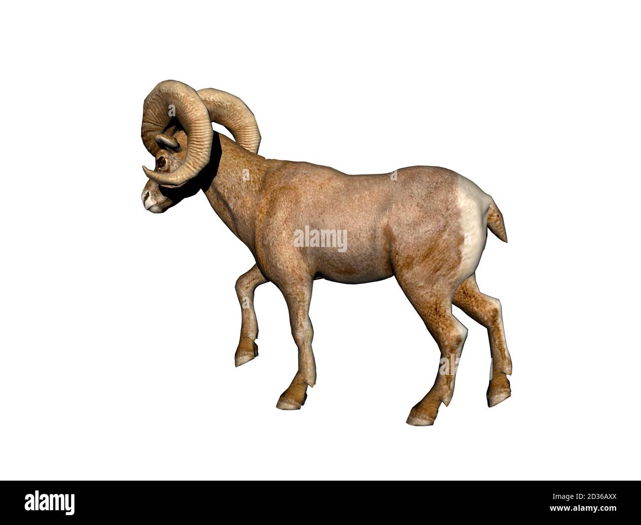 Mountain goat with brown fur and powerful horns Stock Photo - Alamy