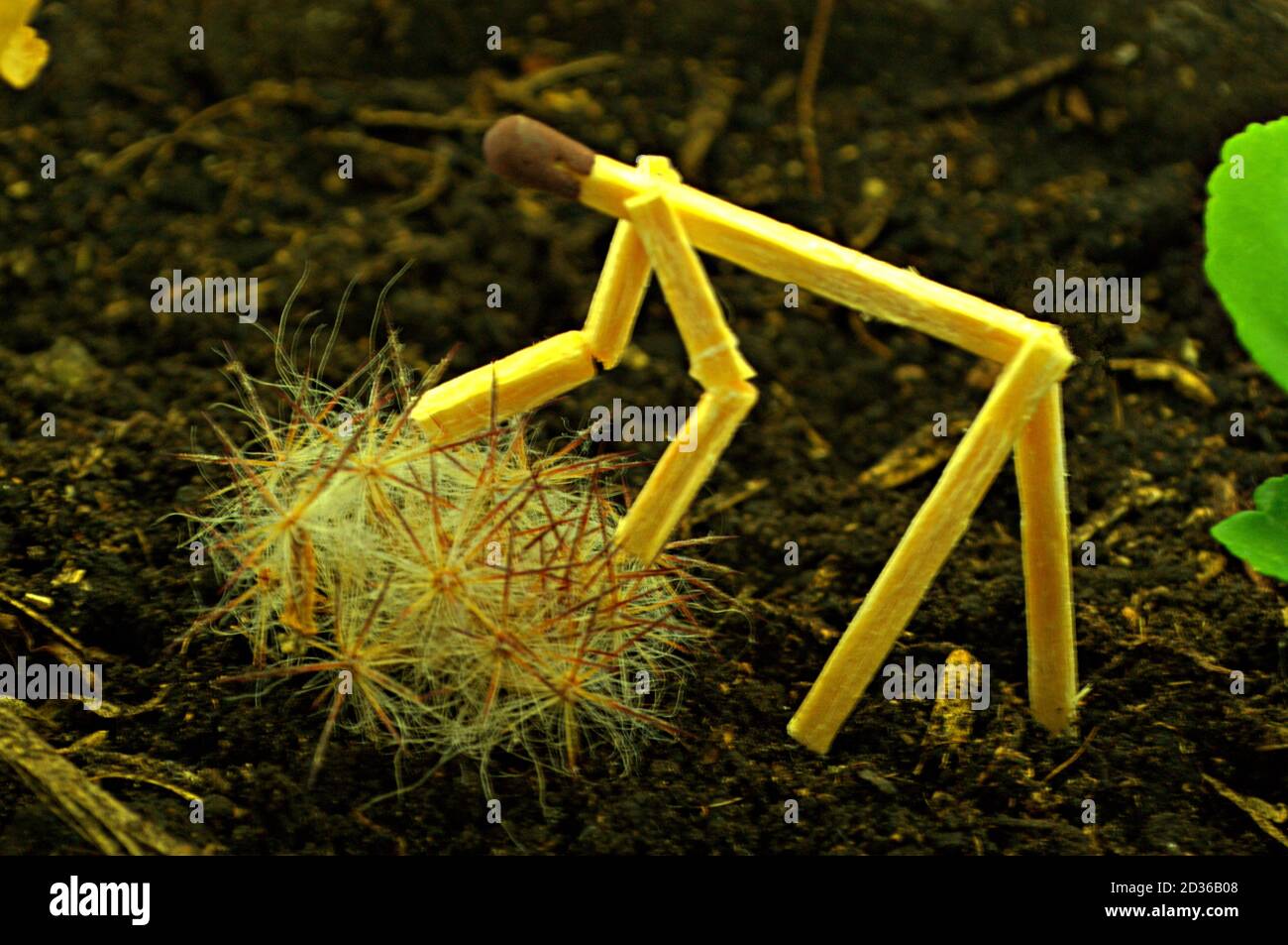 MATCHES REPRESENTING PEOPLE CONCEPT PHOTOGRAPHY Stock Photo - Alamy