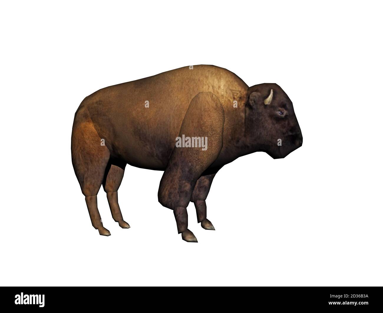 wild heavy bison bull Stock Photo - Alamy