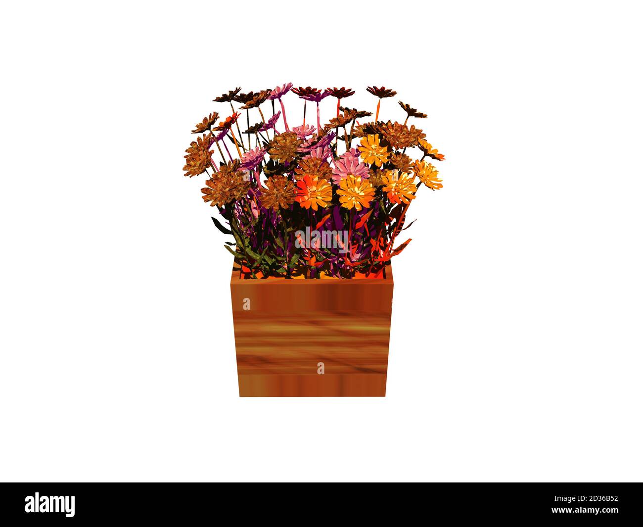 Rectangular pot plants hi-res stock photography and images - Alamy