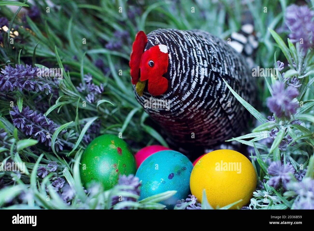 Speckled hen chicken with Easter eggs, lavender and herbs Stock Photo ...