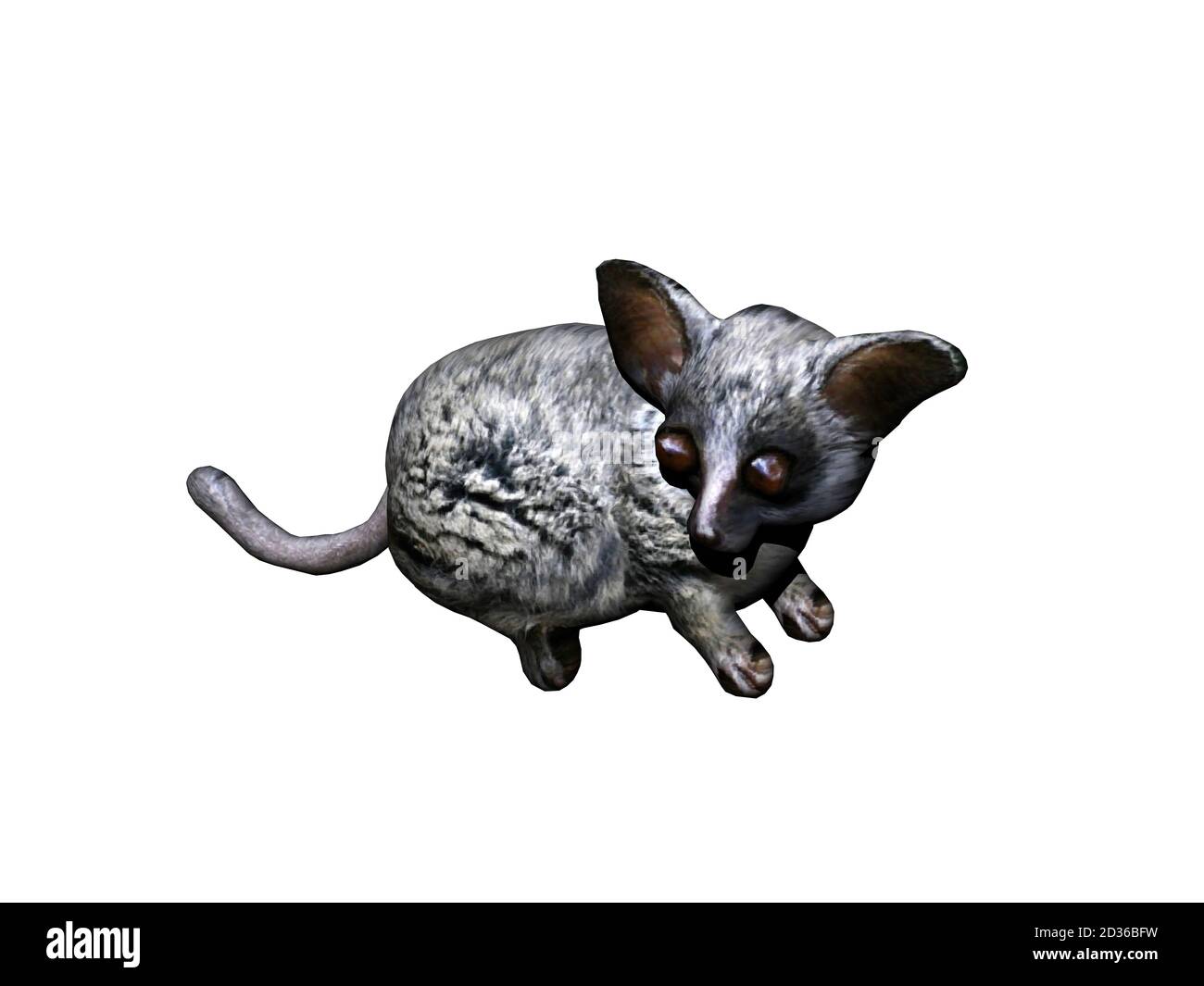 African rodent hi-res stock photography and images - Alamy