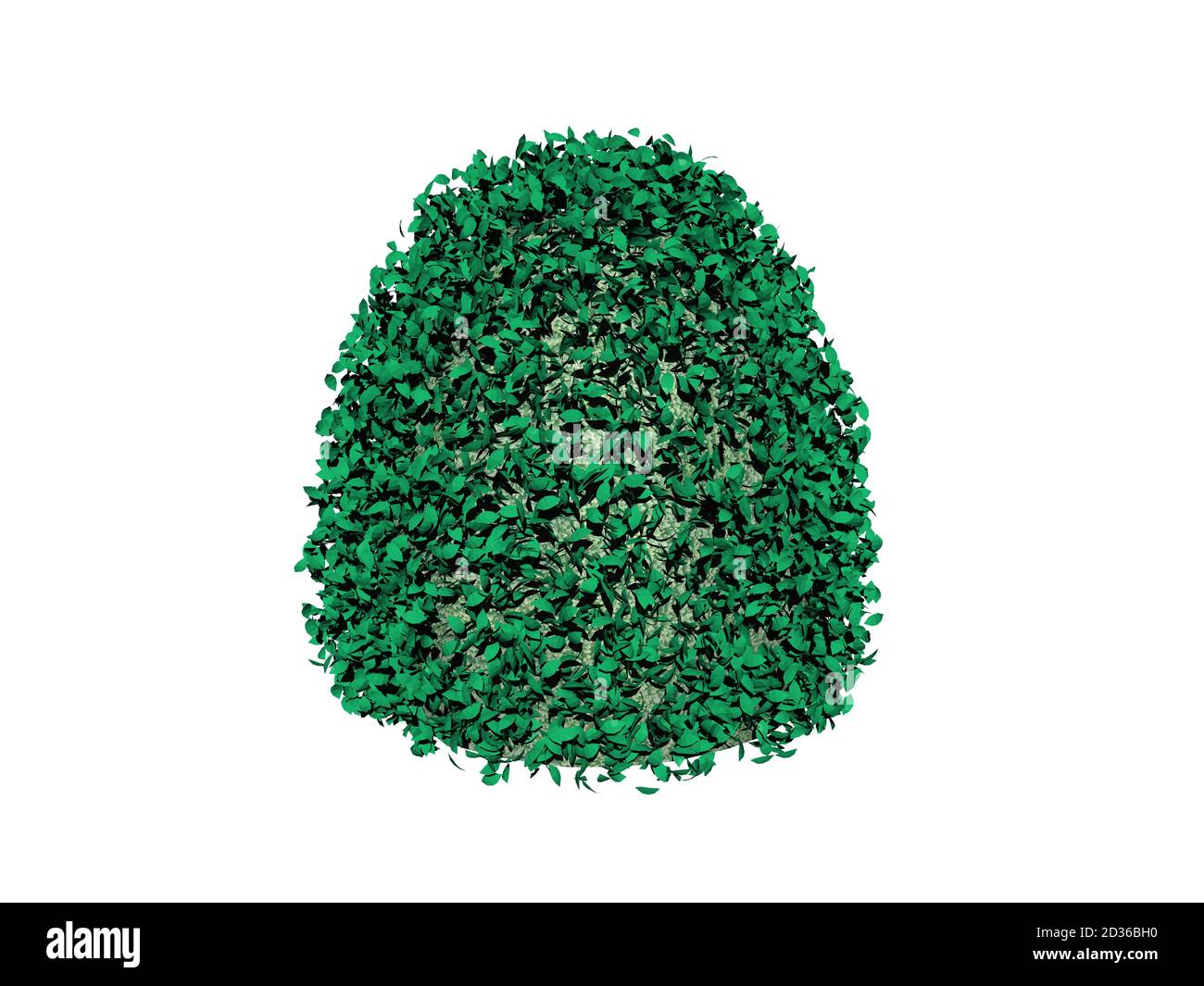 Boxwood hedge Cut Out Stock Images & Pictures - Alamy
