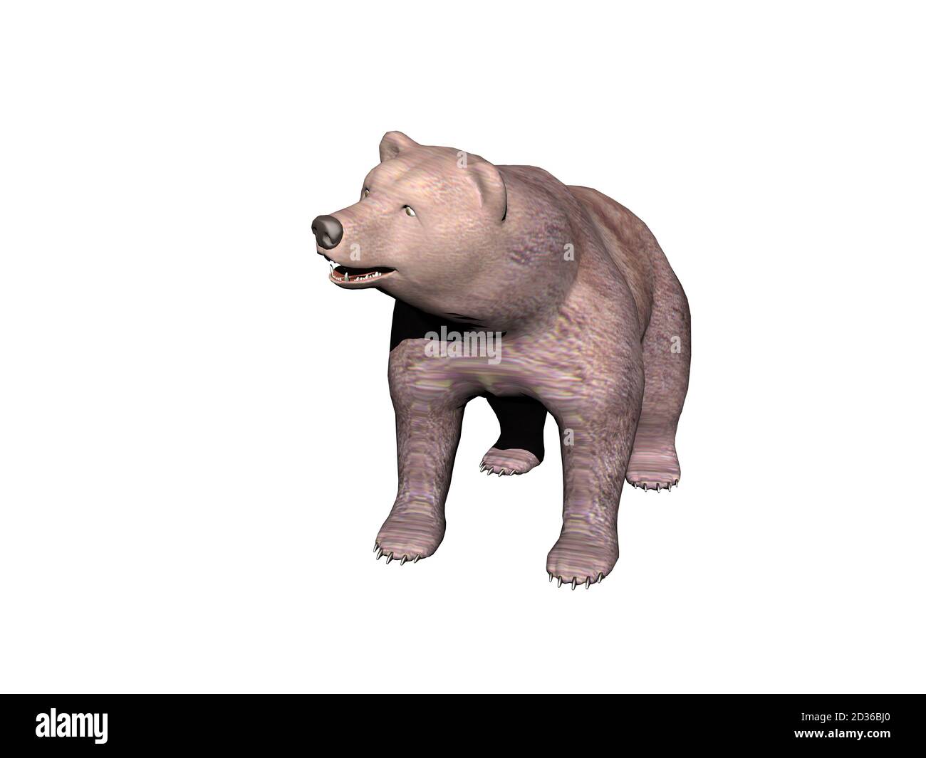 big brown bear with sharp teeth Stock Photo - Alamy