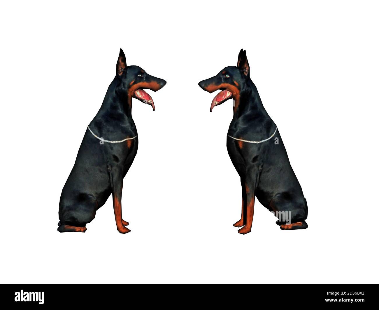 Doberman with a dark fur as a watchdog Stock Photo - Alamy