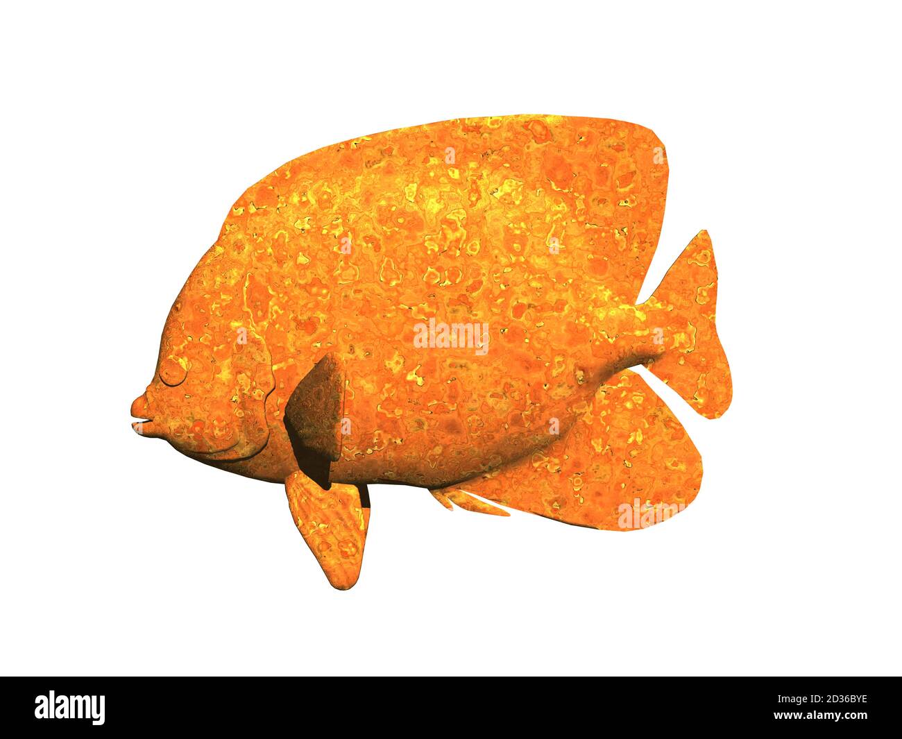 orange colored fish in the aquarium Stock Photo - Alamy