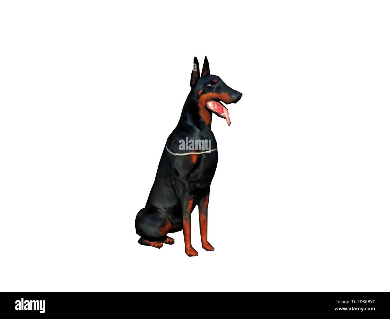 Doberman with a dark fur as a watchdog Stock Photo - Alamy