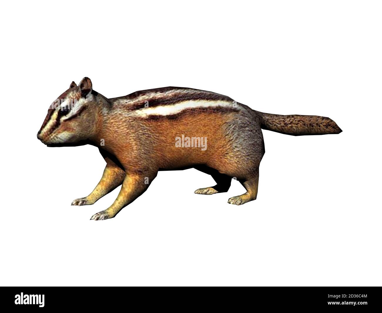 Chipmunks with red fur roam about Stock Photo - Alamy