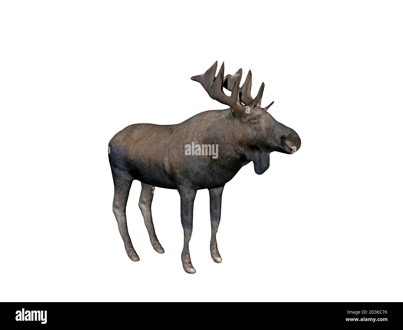 Bull big horns Cut Out Stock Images & Pictures - Alamy