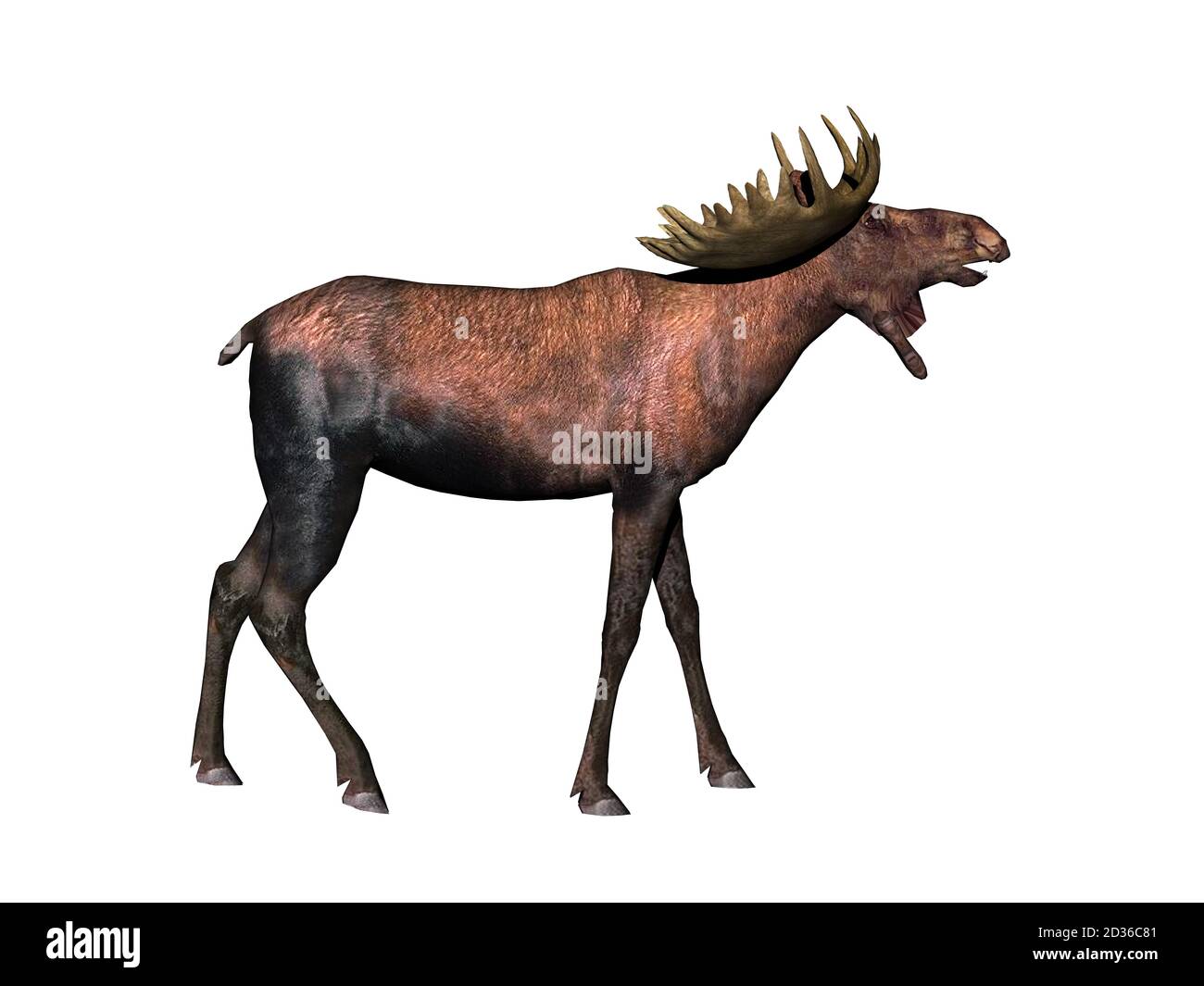 big moose with mighty antlers Stock Photo - Alamy