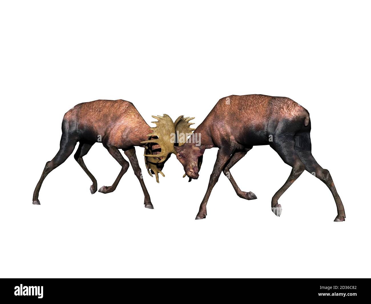big moose with mighty antlers Stock Photo - Alamy