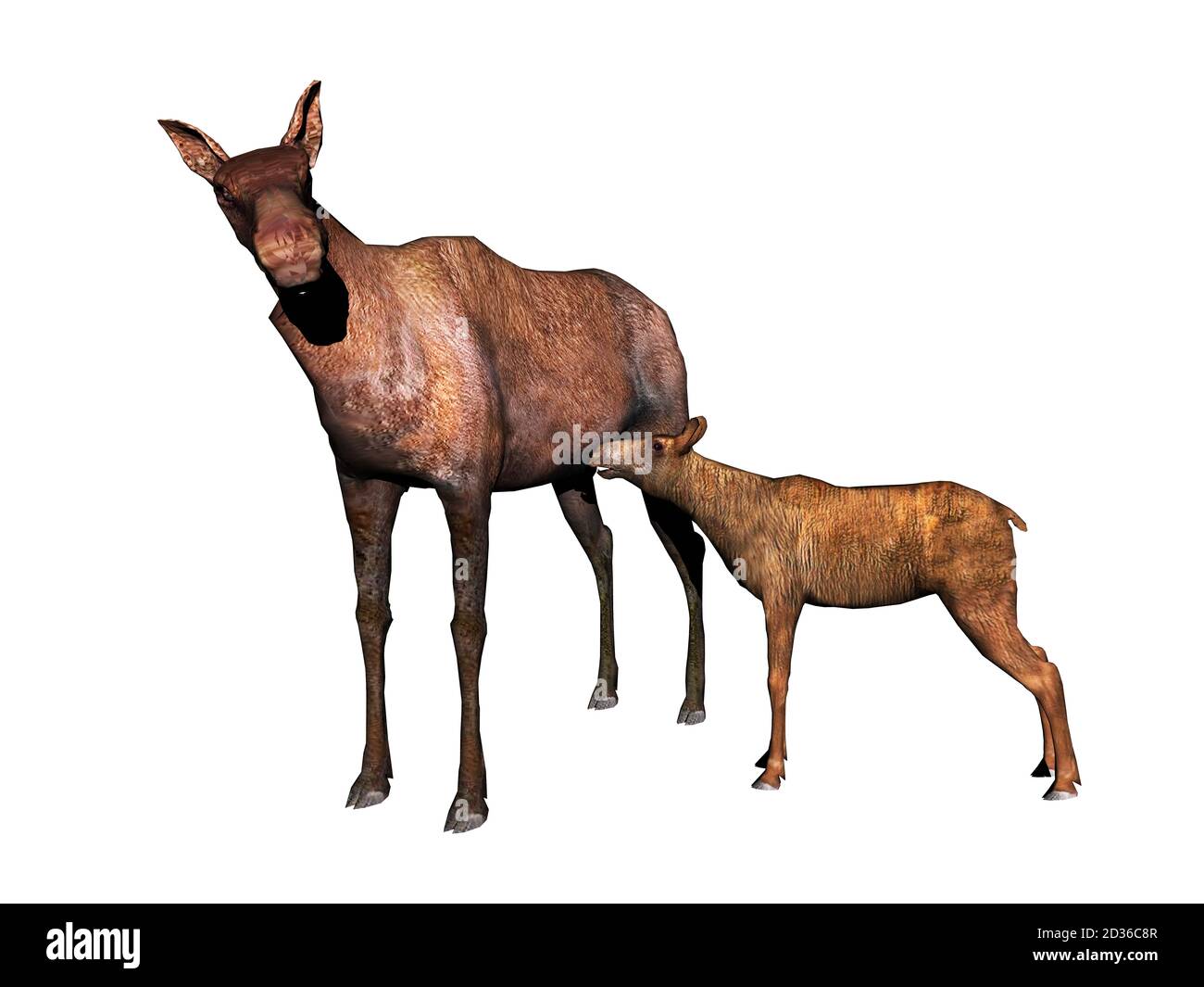 big moose with mighty antlers Stock Photo - Alamy