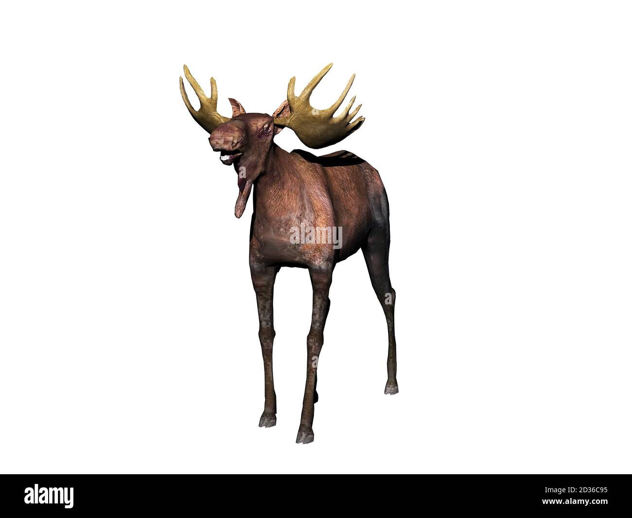 big moose with mighty antlers Stock Photo - Alamy