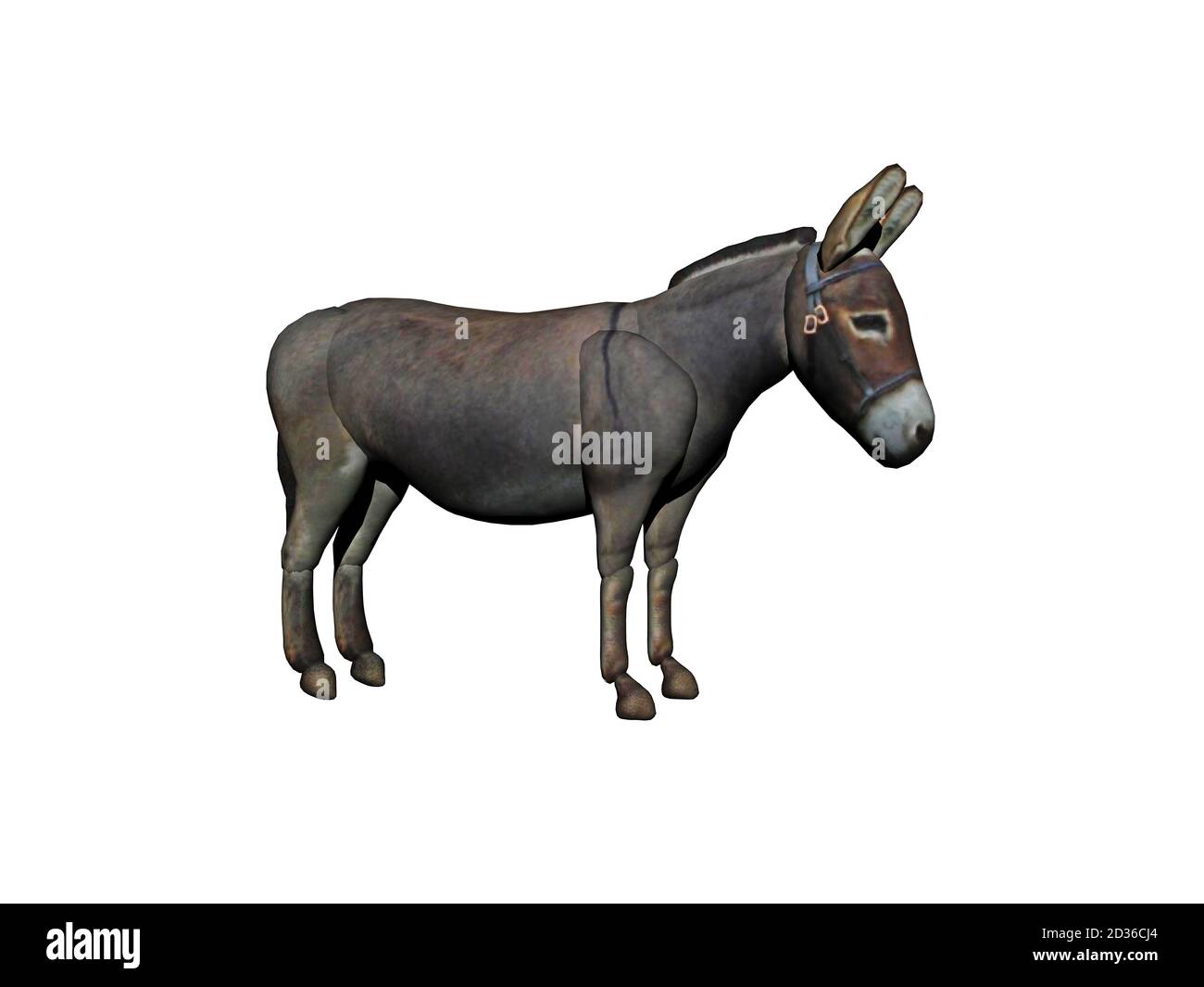 Donkey stands hi-res stock photography and images - Alamy