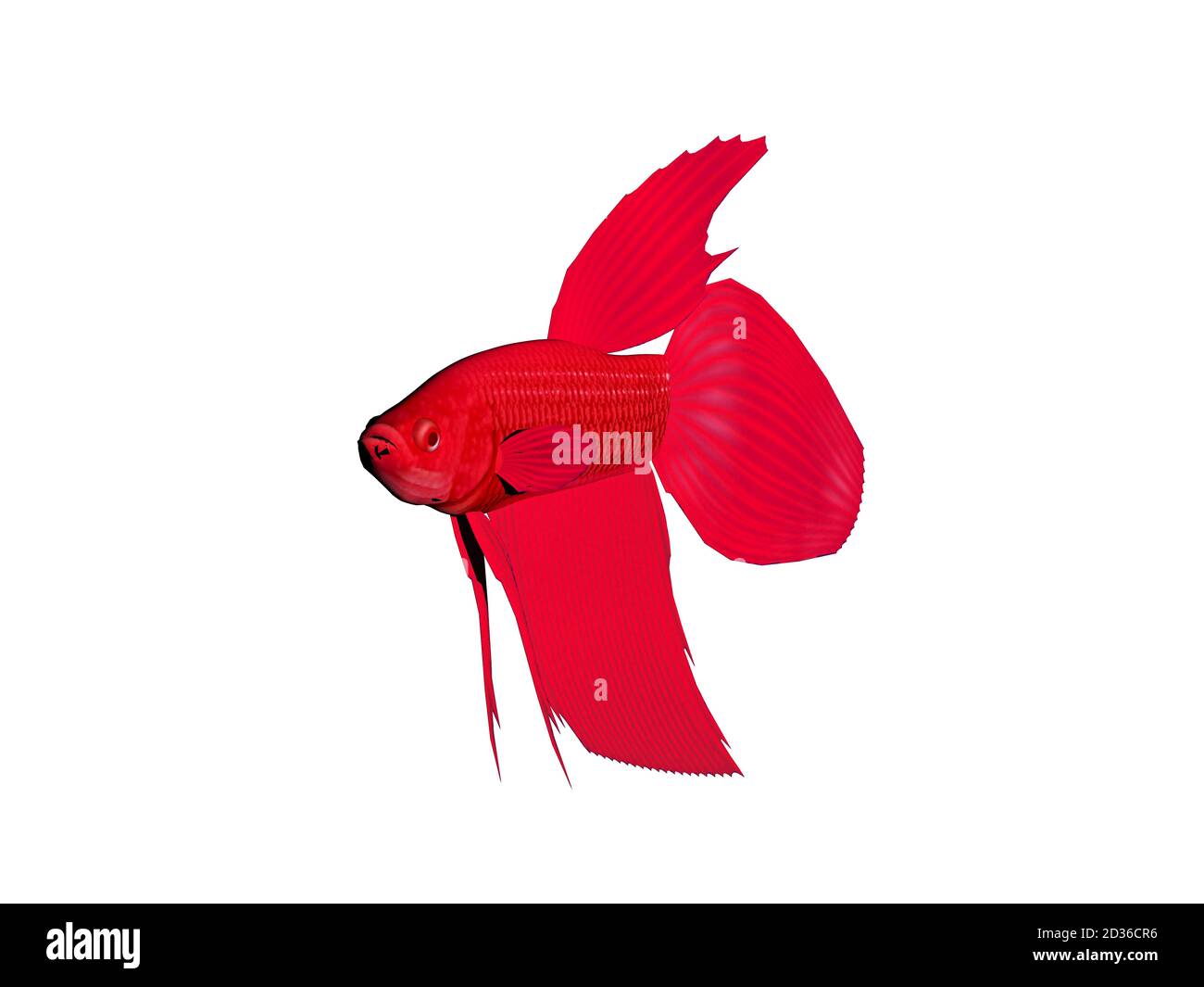 red barn fish in the water Stock Photo - Alamy