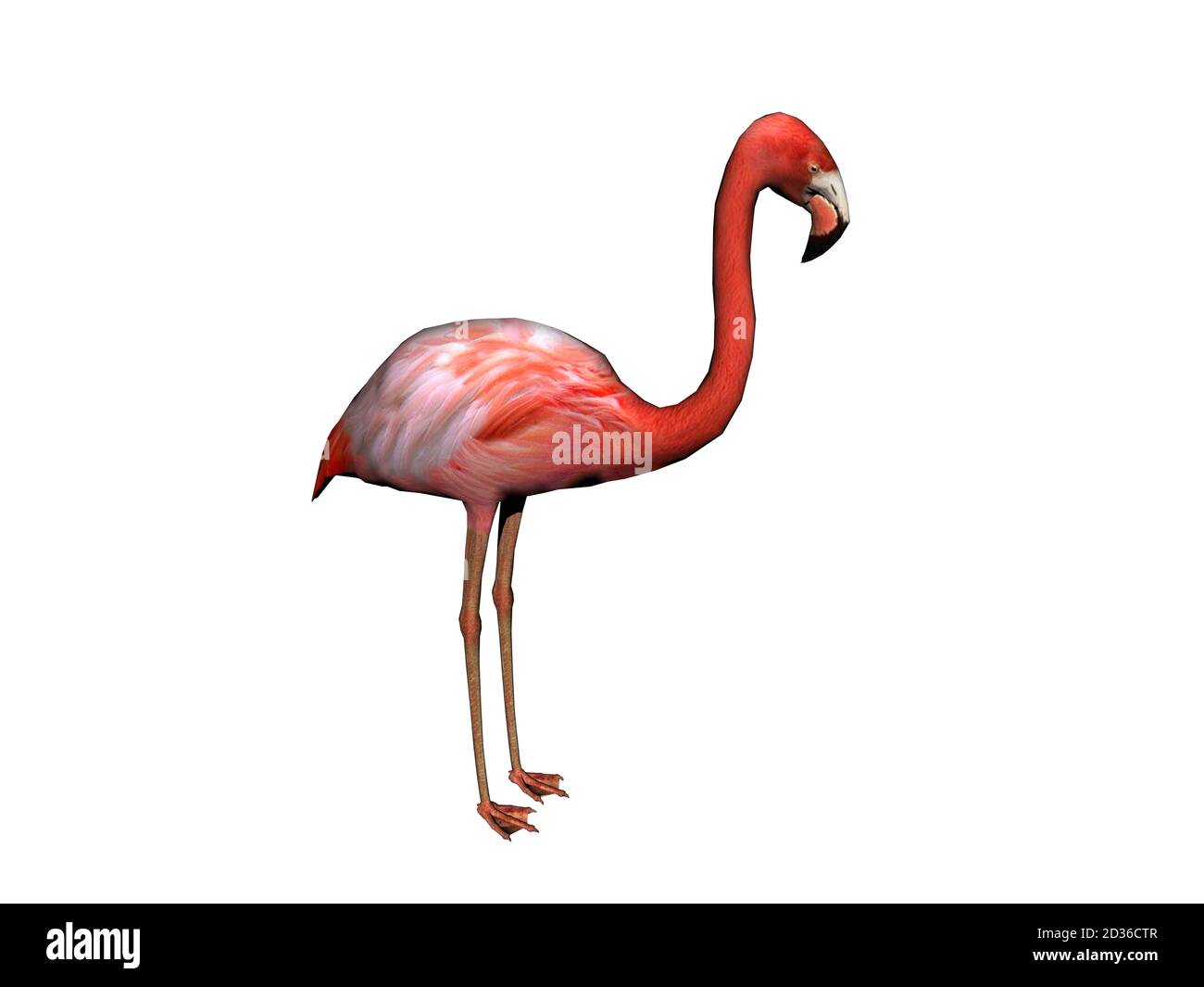 pink flamingo with a long neck Stock Photo - Alamy
