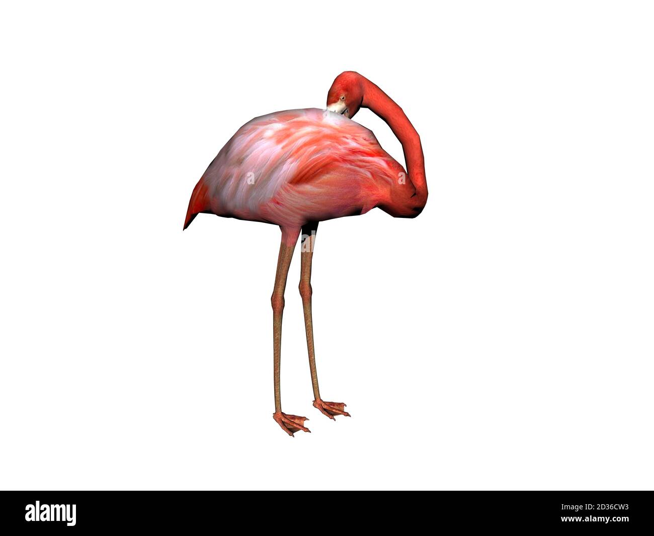 pink flamingo with a long neck Stock Photo - Alamy