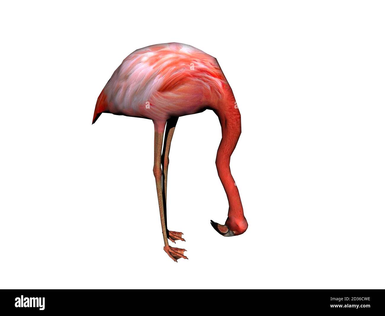 pink flamingo with a long neck Stock Photo - Alamy