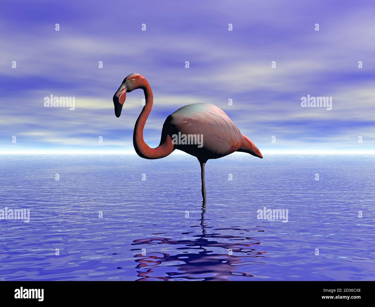 Flamingo stands hi-res stock photography and images - Alamy