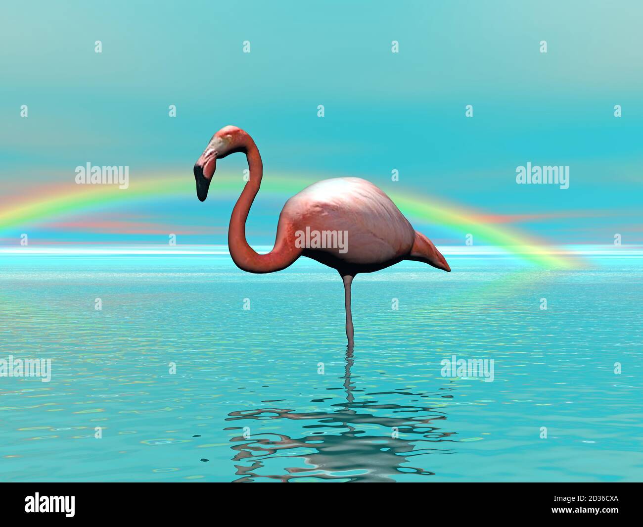 Flamingo stands on one leg in the shallow water Stock Photo - Alamy