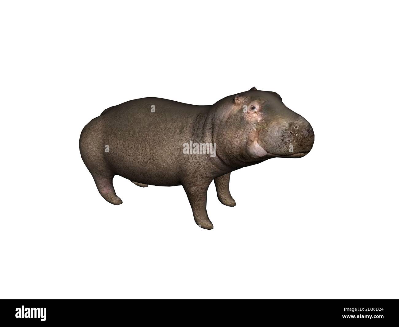 heavy sluggish hippo in Africa Stock Photo - Alamy