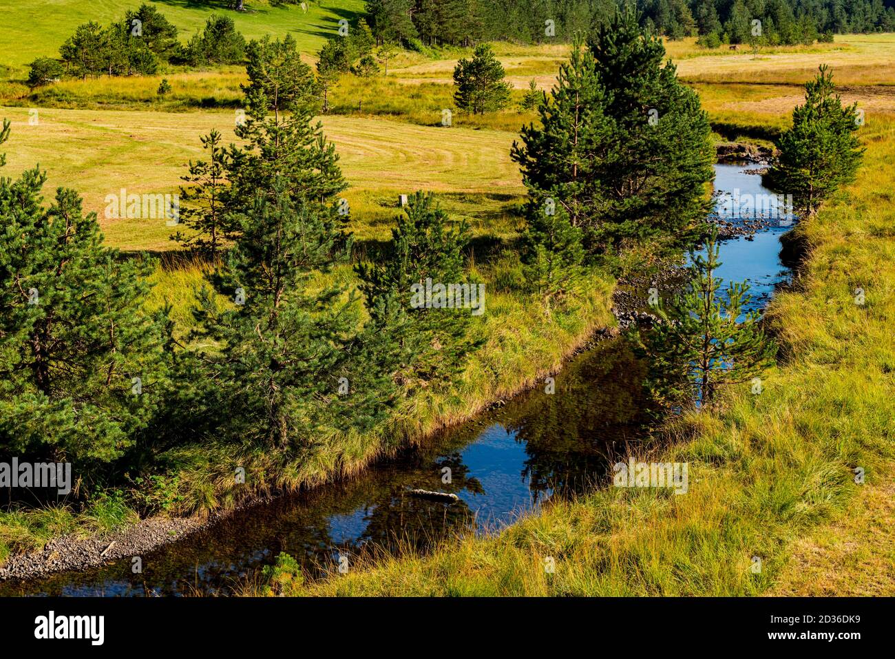 View at Crni Rzav river on Zlatibor mountain in Serbia Stock Photo - Alamy