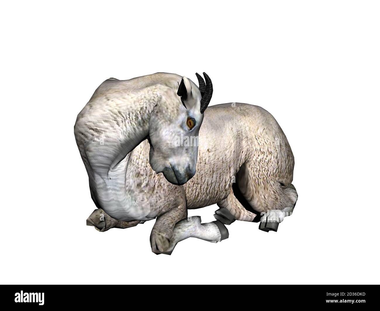 Mountain goat with white fur runs and jumps Stock Photo - Alamy