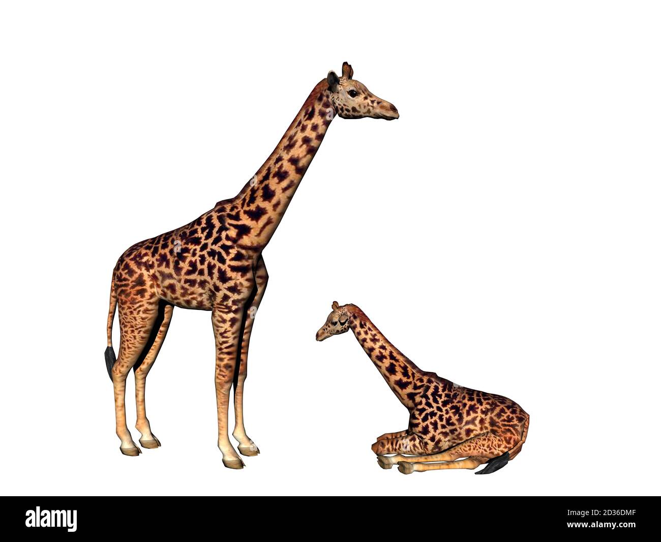 spotted giraffe with a long neck in the steppe of Africa Stock Photo ...