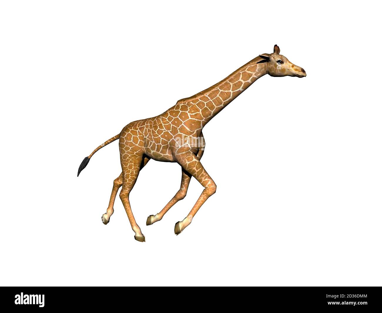 spotted giraffe with a long neck in the steppe of Africa Stock Photo ...