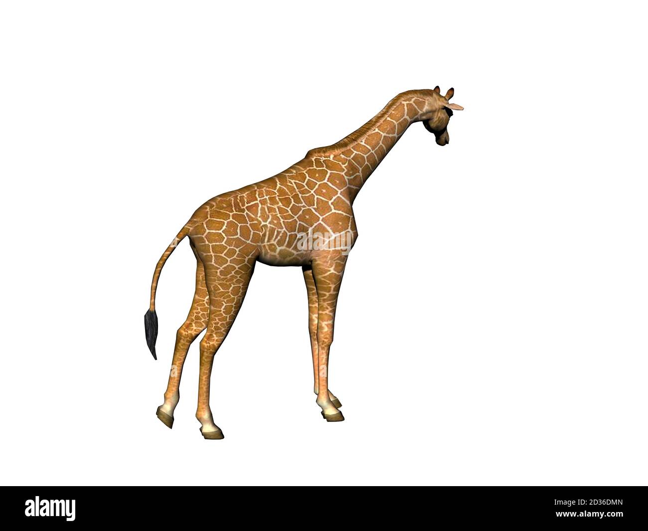 spotted giraffe with a long neck in the steppe of Africa Stock Photo ...