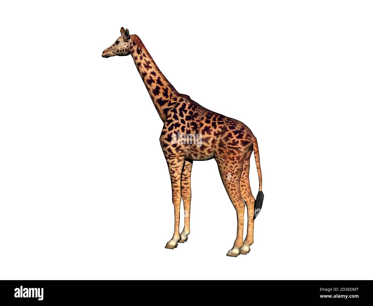 spotted giraffe with a long neck in the steppe of Africa Stock Photo ...
