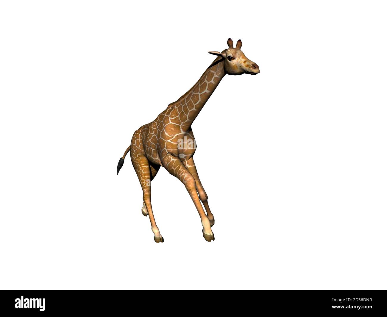 spotted giraffe with a long neck in the steppe of Africa Stock Photo ...