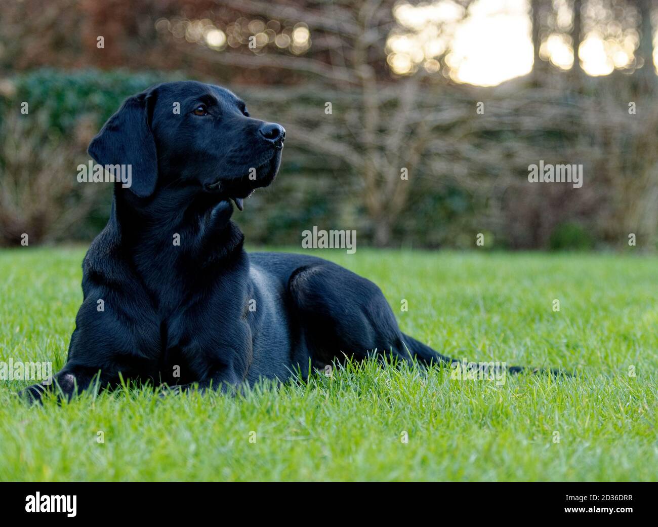 Quarry Hospital High Resolution Stock Photography and Images - Alamy