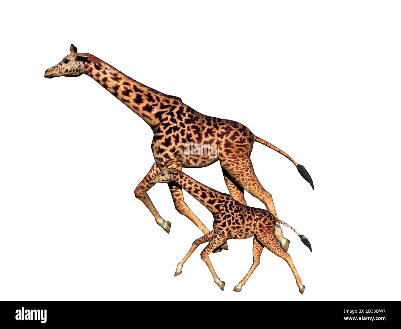 spotted giraffe with a long neck in the steppe of Africa Stock Photo ...