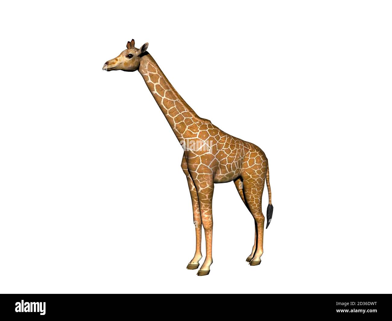 spotted giraffe with a long neck in the steppe of Africa Stock Photo ...