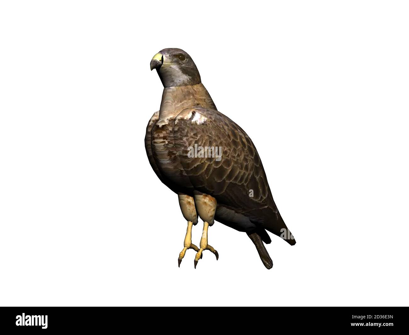 Bird of prey with a sharp beak and claws Stock Photo - Alamy
