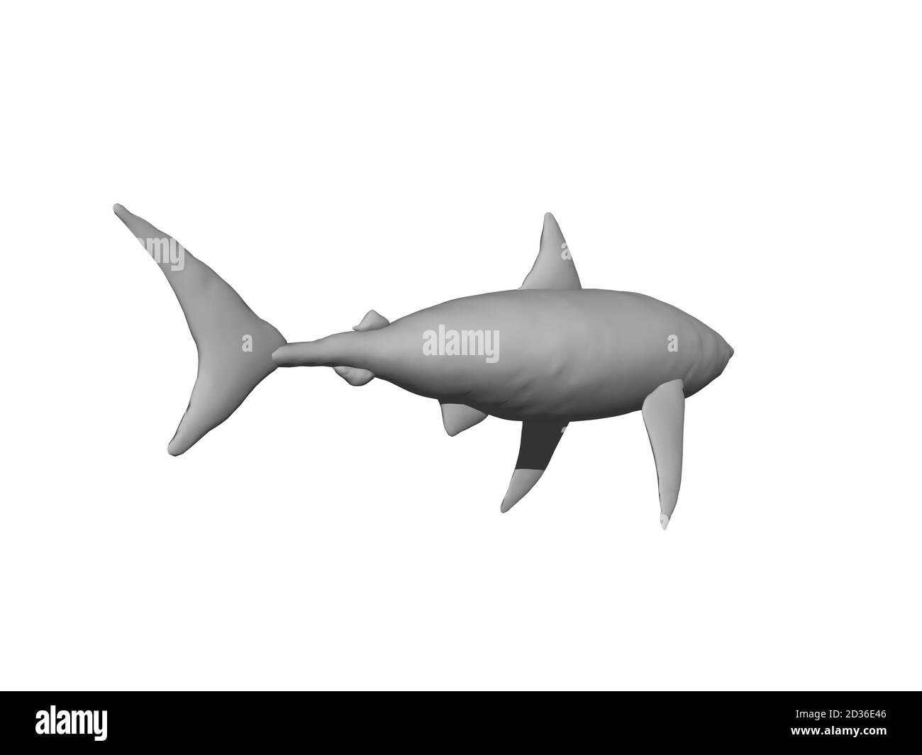 Shark fin swimming in Black and White Stock Photos & Images - Alamy