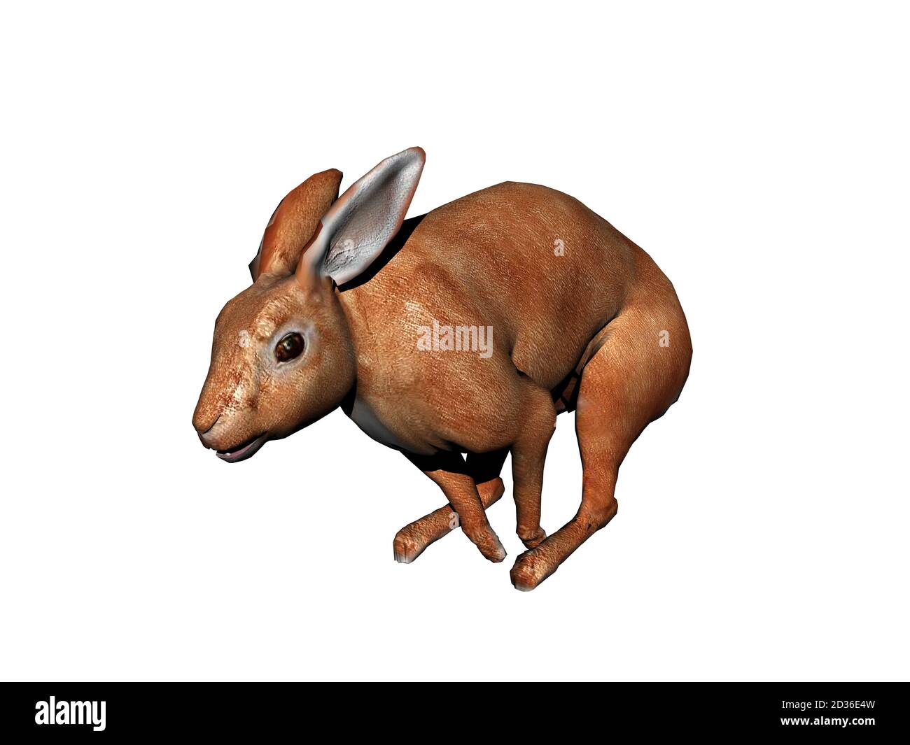 hopping and jumping rabbit with floppy ears Stock Photo - Alamy