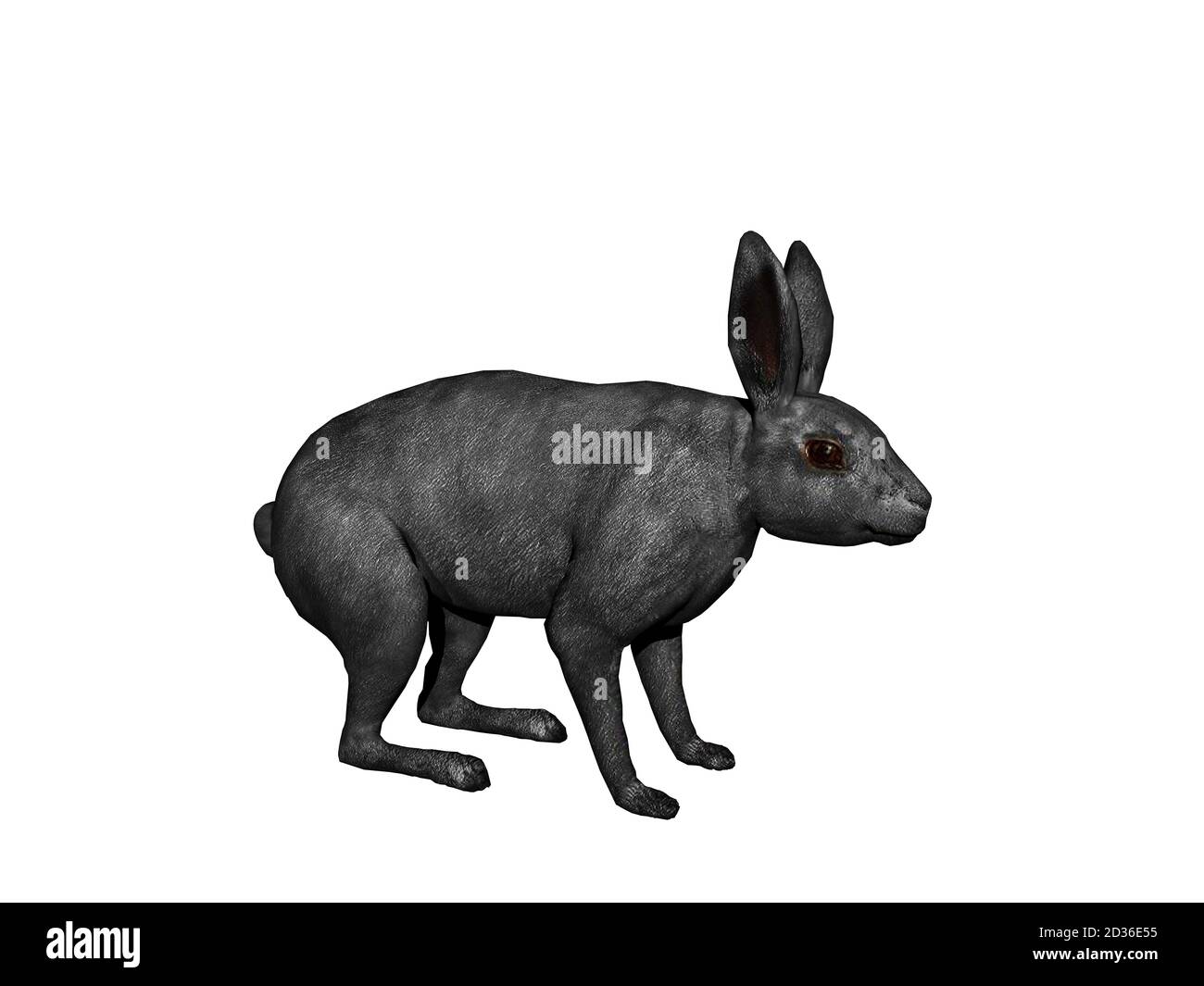 hopping and jumping rabbit with floppy ears Stock Photo - Alamy