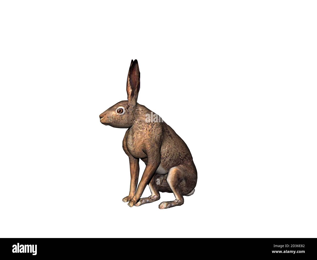 hopping and jumping rabbit with floppy ears Stock Photo - Alamy