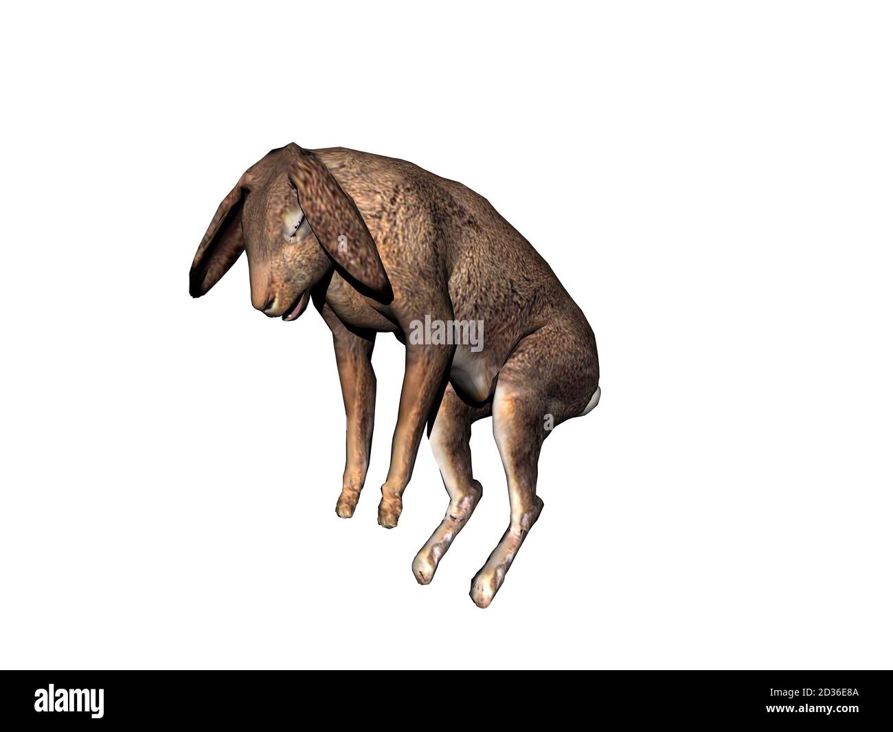 hopping and jumping rabbit with floppy ears Stock Photo - Alamy