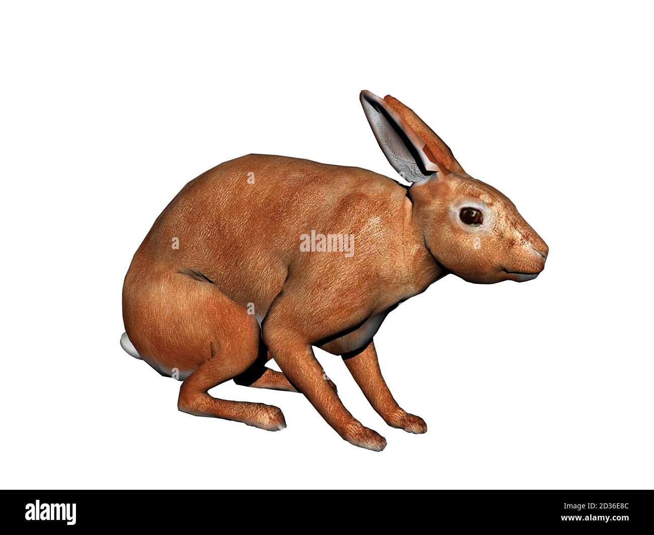 hopping and jumping rabbit with floppy ears Stock Photo - Alamy