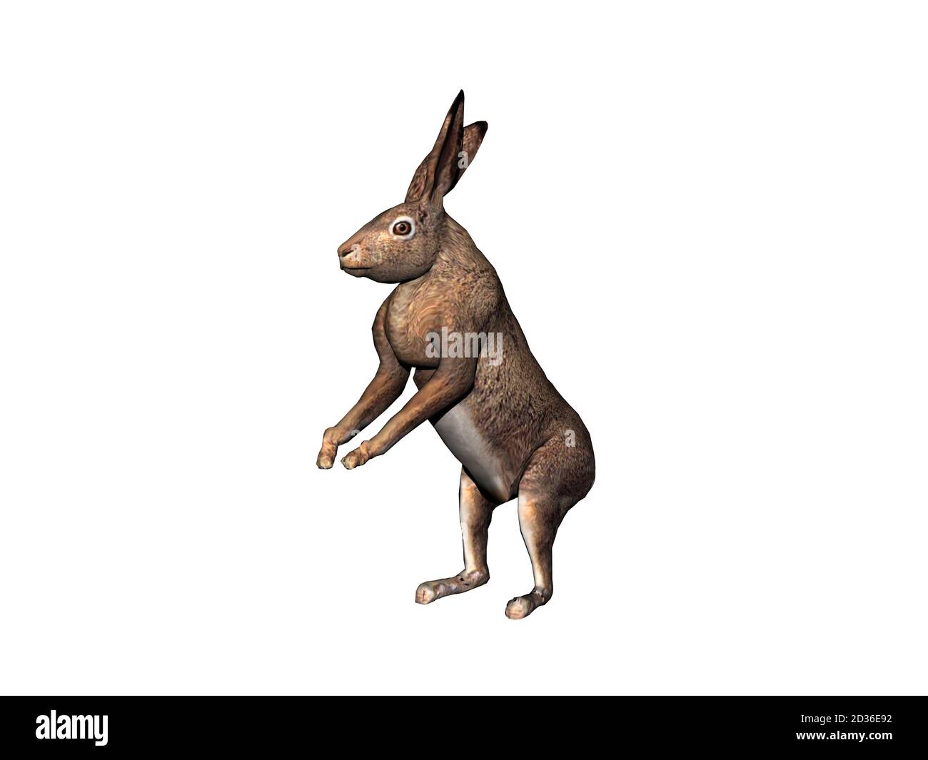 hopping and jumping rabbit with floppy ears Stock Photo - Alamy