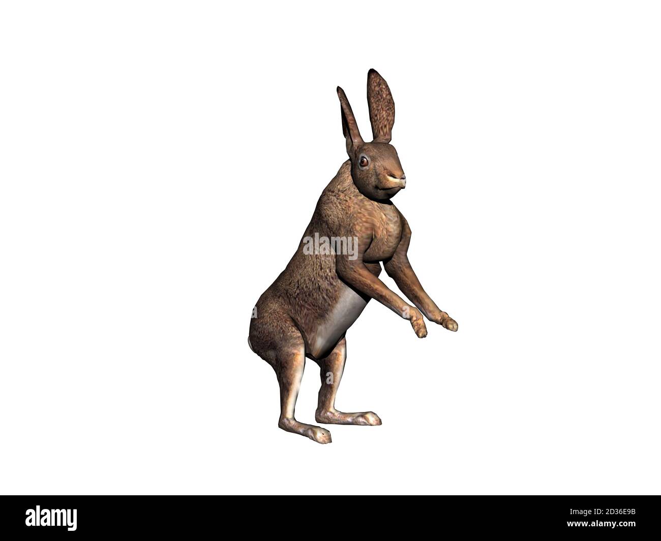 hopping and jumping rabbit with floppy ears Stock Photo - Alamy
